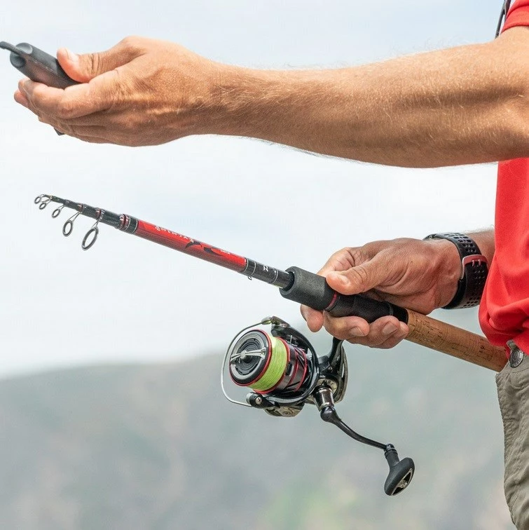 Stylish and cheap satisfaction and trustworthy Daiwa Ninja Tele ...